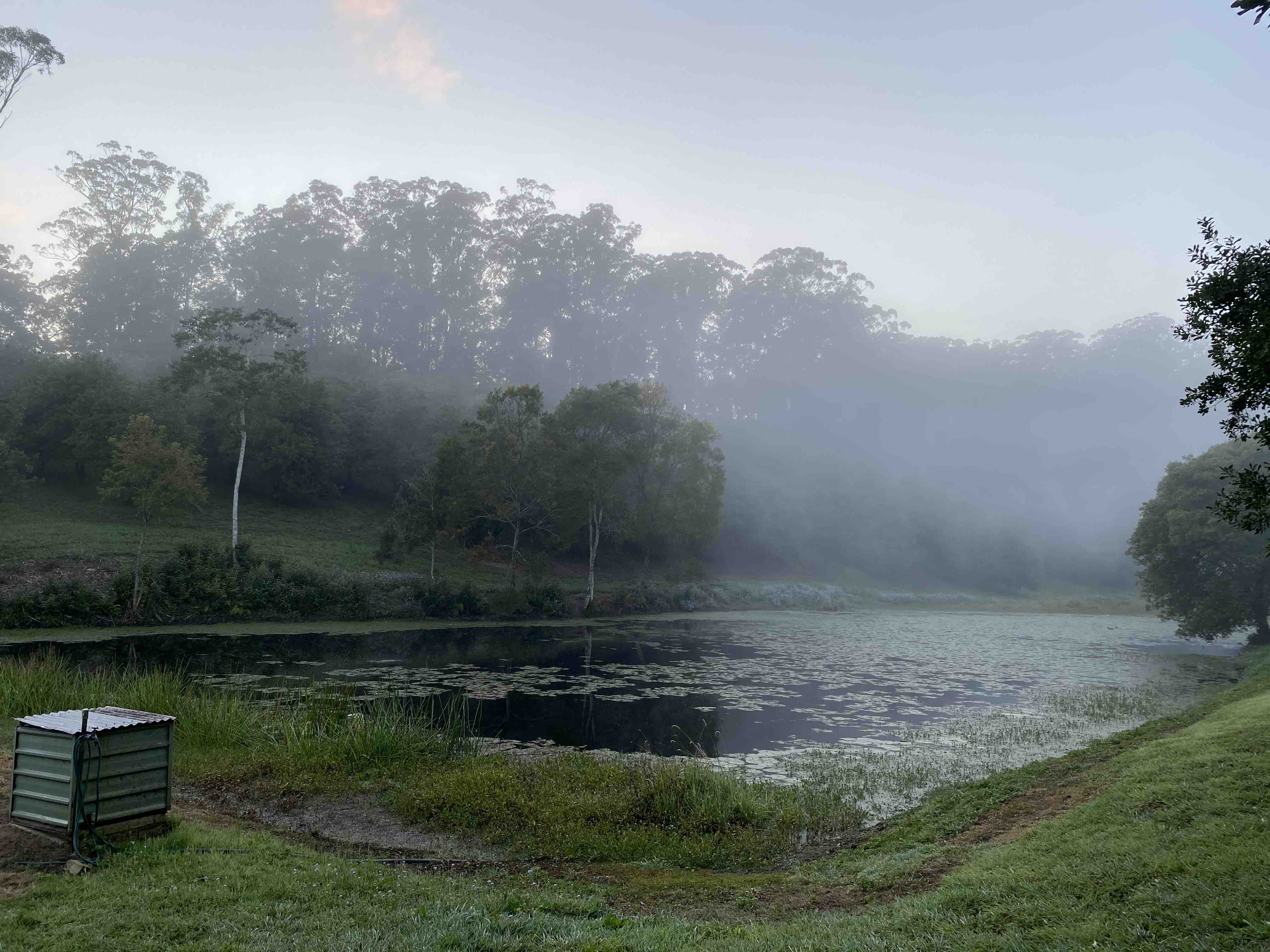 Macadamia Farm – Maha Farm Australia