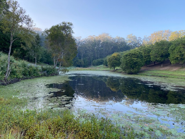 Macadamia Farm – Maha Farm Australia