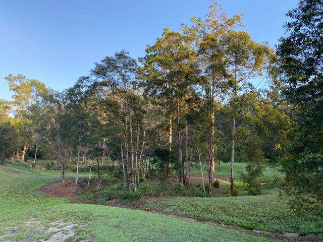 Macadamia Farm – Maha Farm Australia