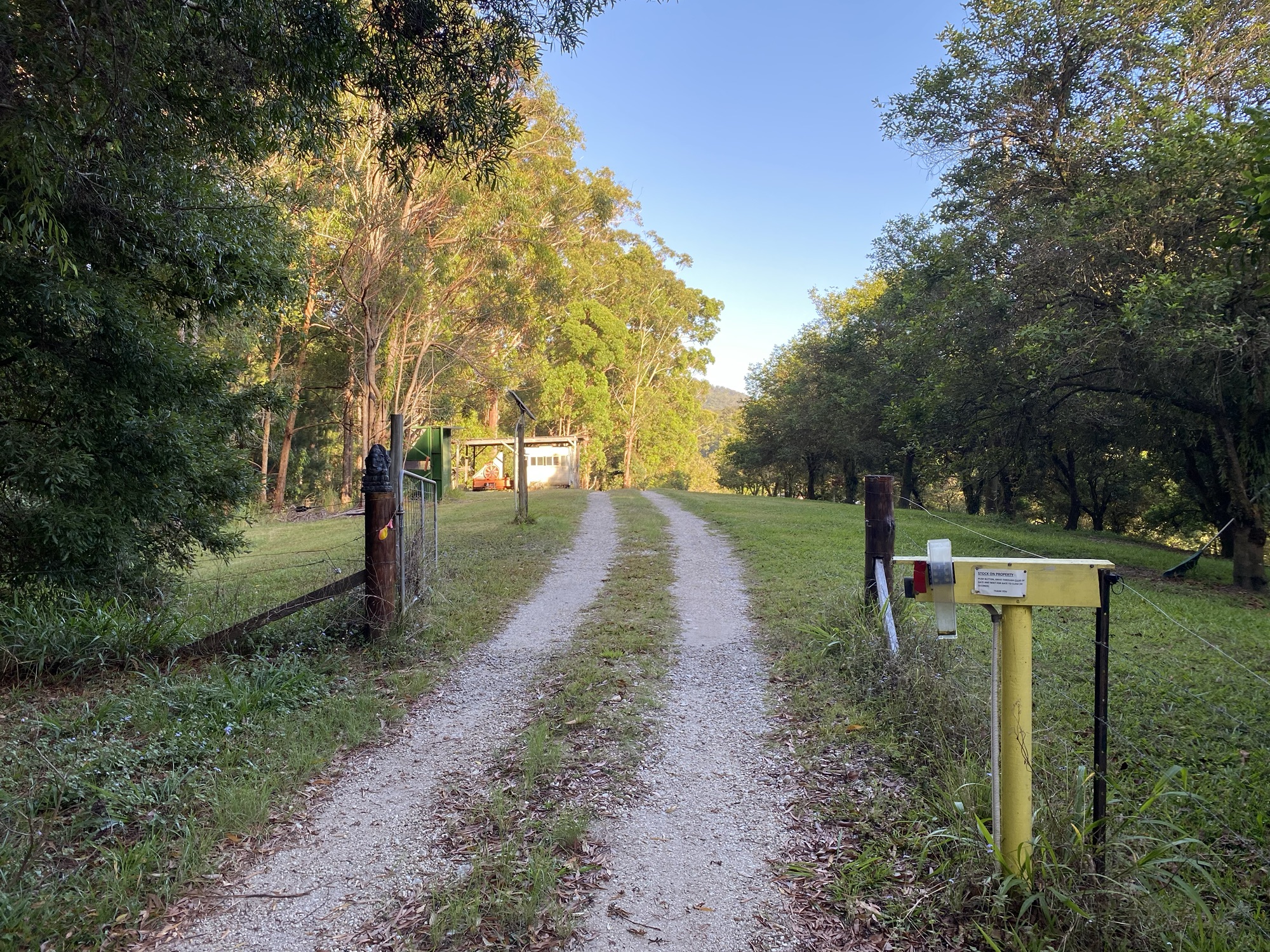 Macadamia Farm – Maha Farm Australia