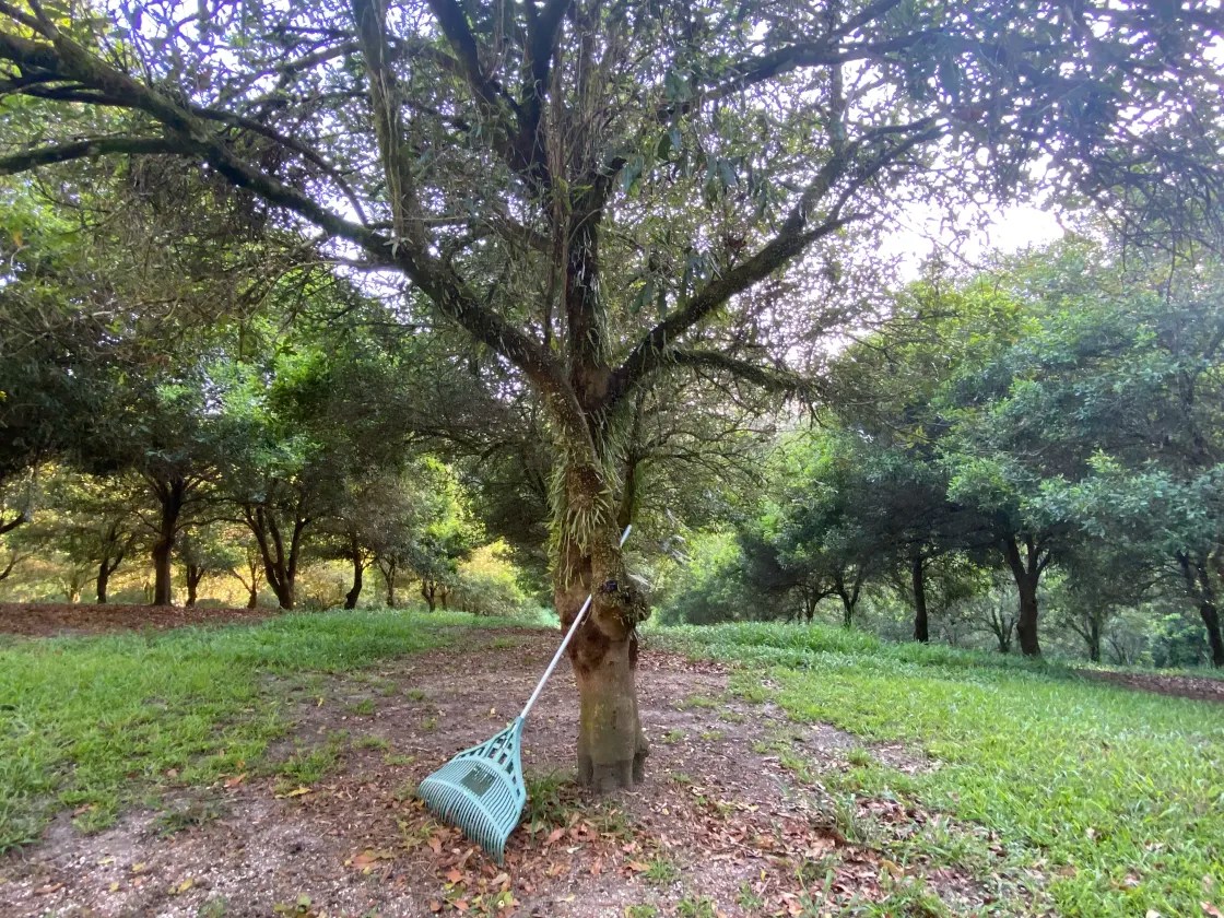 Services – Maha Farm Australia